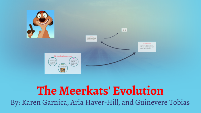 The Meerkats' Evolution by Aria Haver-Hill on Prezi