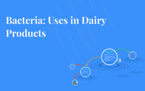 Bacteria: Uses in Dairy Products by bronwyn paterson on Prezi