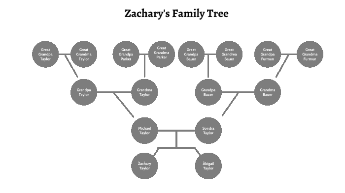 Zachary Taylors Family Tree by Zachary Taylor on Prezi