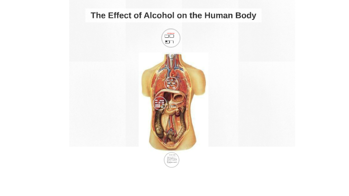The Effect of Alcohol on the Human Body by Ahmed Lamada on Prezi