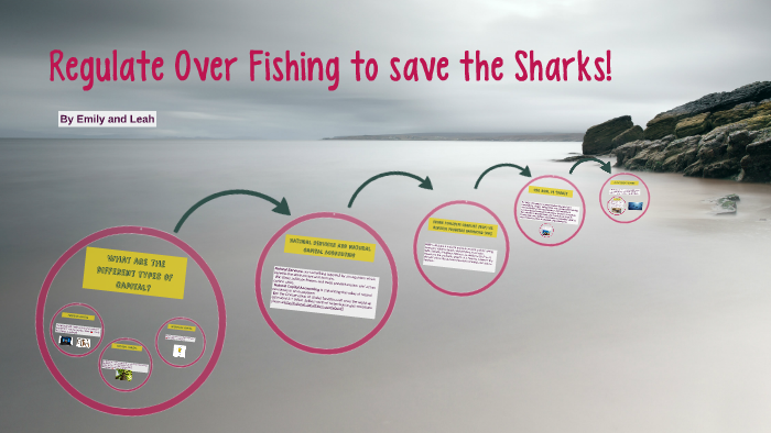 Regulate Over Fishing by Emily Shiroma