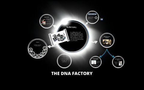The DNA Factory by Catherine Seiler on Prezi