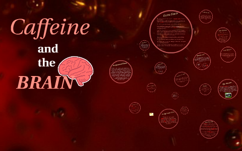 Caffeine and the Brain by hannah frazier on Prezi