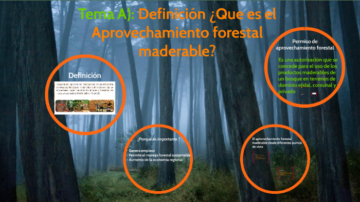 APROVECHAMIENTO FORESTAL MADERABLE by alan javier haro pacheco on Prezi
