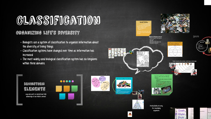 Classification by Lauren Schaefer on Prezi