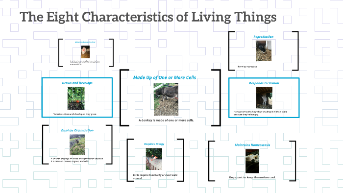 The Eight Characteristics of Living Things by Mackenzie B on Prezi