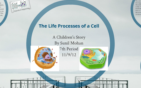 Life Processes of a Cell by Sunil Mohan on Prezi
