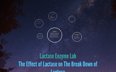 Lactase Enzyme Lab by Chanda Deenadayalan on Prezi