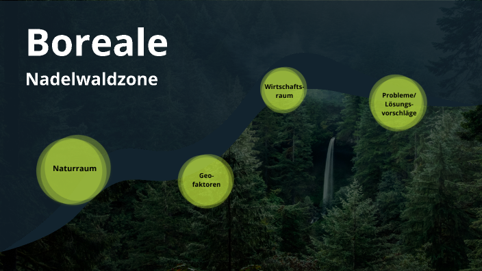 Boreale Nadelwaldzone by Coralie Luchtenberg on Prezi