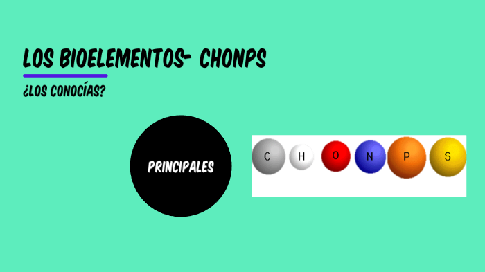 Los Bioelementos by Angel Ramirez Navarro on Prezi