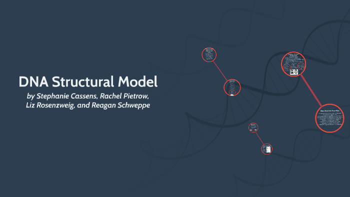 Building a Structural Model of DNA by Reagan Schweppe on Prezi