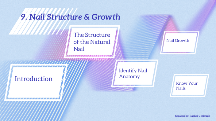 9. Nail Structure & Growth by Rachel Gerlaugh on Prezi
