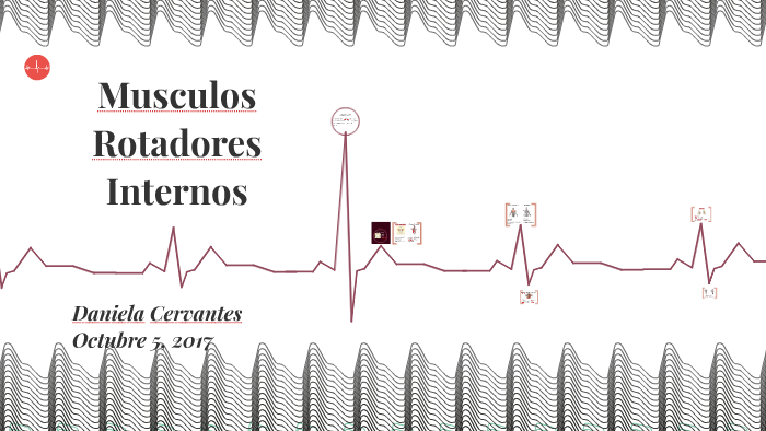 Musculos Rotadores Internos by Daniela Cervantes on Prezi