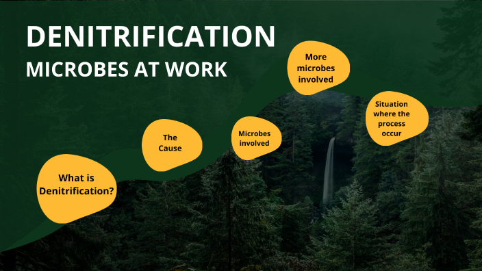 Microbes at work by Maria Alexis on Prezi