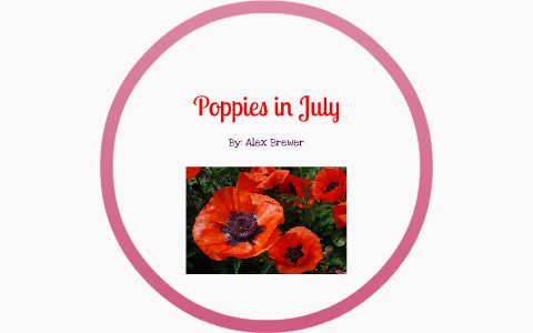 Poppies in July by alex brewer on Prezi