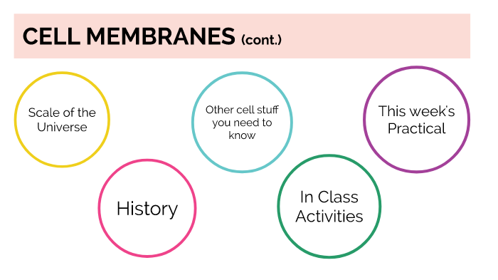 Cell membrane history by on Prezi
