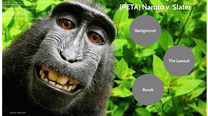 PETA (Naruto) v . Slater by Alaina Nguyen on Prezi