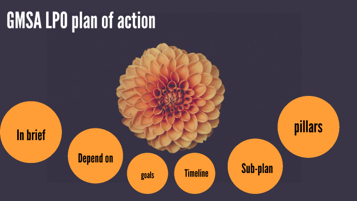 LPO plan of action by wisal abbas on Prezi
