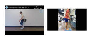 test by Tracy Rauk on Prezi Design