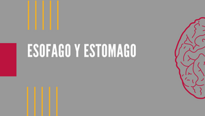 Estomago y esofago by Dimalay Marquez on Prezi Design