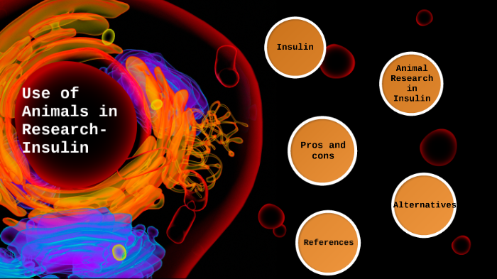 Use of Animals in Research- Insulin by Katie Anderson on Prezi