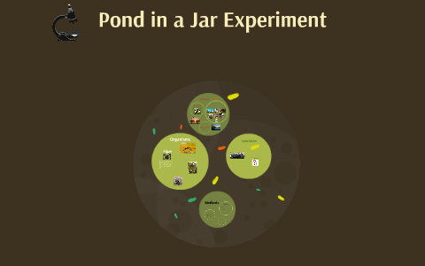 Pond in a Jar Experiment by Peyton Smith on Prezi