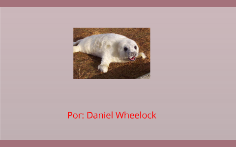 La Leyenda de Fjord by Daniel Wheelock on Prezi