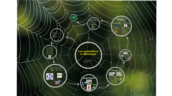 Las matemáticas en la biología by Óscar Barbero Úriz on Prezi