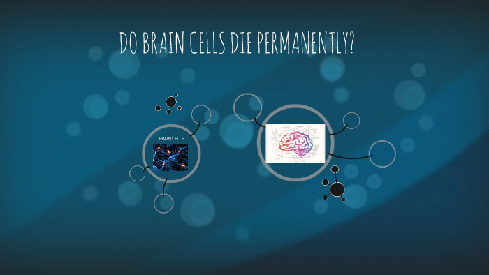 DO BRAIN CELLS DIE PERMANENTLY? by on Prezi