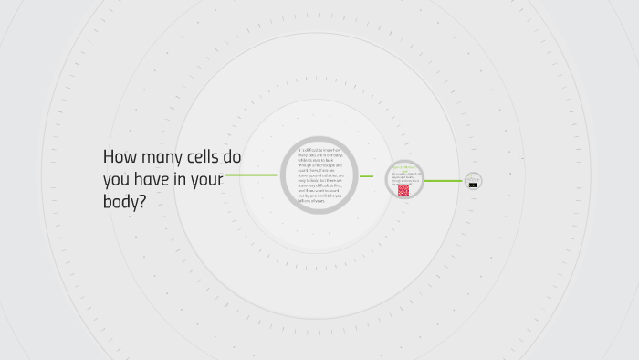 How many cells do you have in your body? by juli c on Prezi