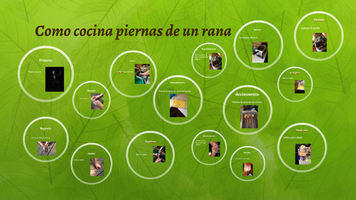 Como cocina piernas de un rana by Hunter Stapp on Prezi