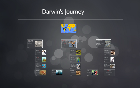 Darwin's Journey by Adam Scholl on Prezi