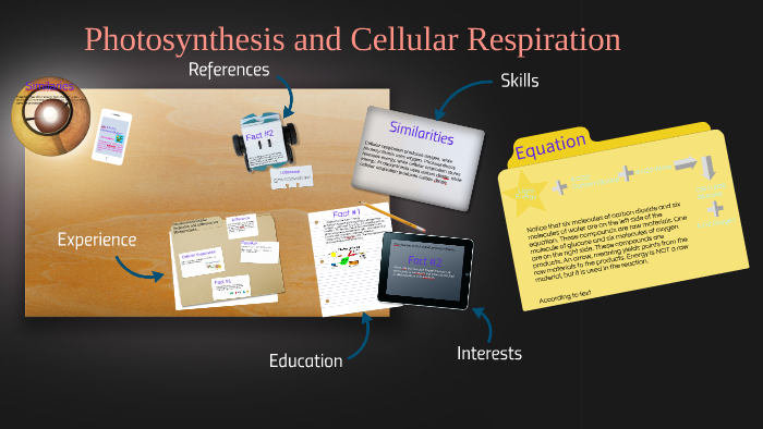 Photosynthesis And Cellular Respiration Science Project by Ariana ...