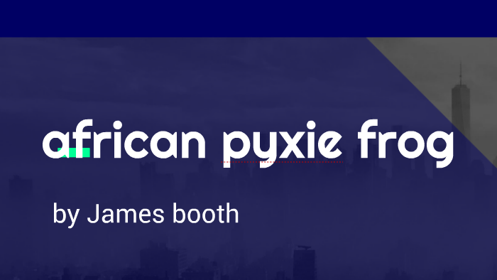 AFRICAN PYXIE FROG by james booth