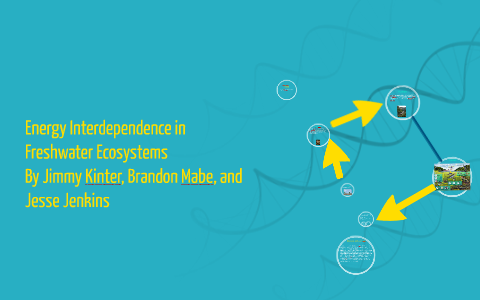 Energy Interdependence in Freshwater Ecosystems by Jimmy Kinter on Prezi