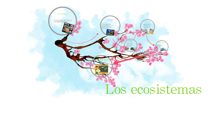 los ecosistemas by Nancy Arciniegas