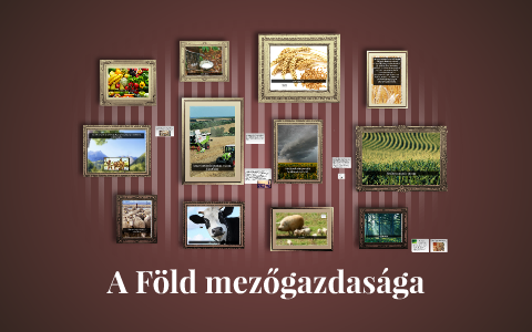 A Föld mezőgazdasága by Gyuri Garam on Prezi