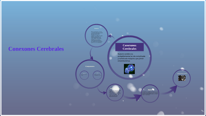 Conexones Cerebrales by Estefa Gonzales on Prezi