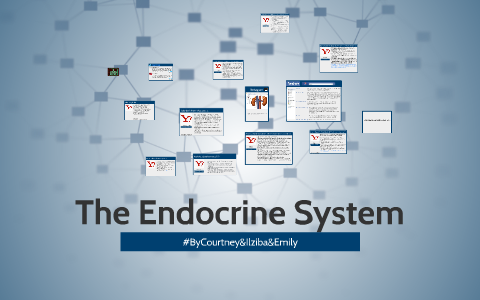 The Endocrine System by Ilziba Yusup on Prezi