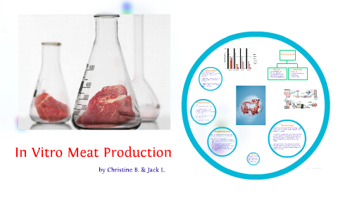In Vitro Meat Production by Christine Bui on Prezi