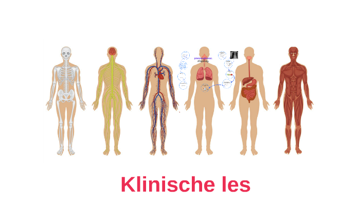 Klinische les by Julia Bults on Prezi