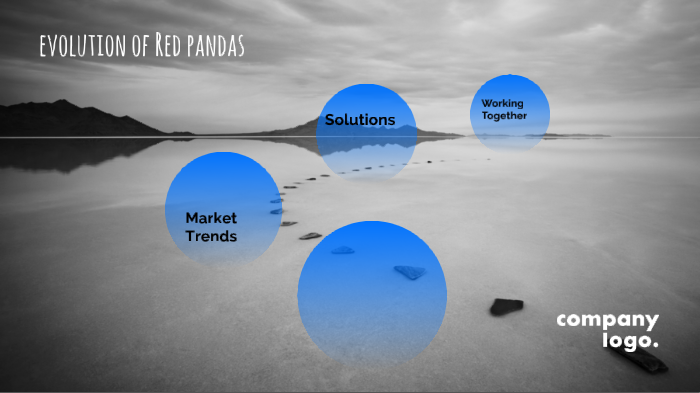 The Evolution of Red Pandas by Anthony Sanchez on Prezi