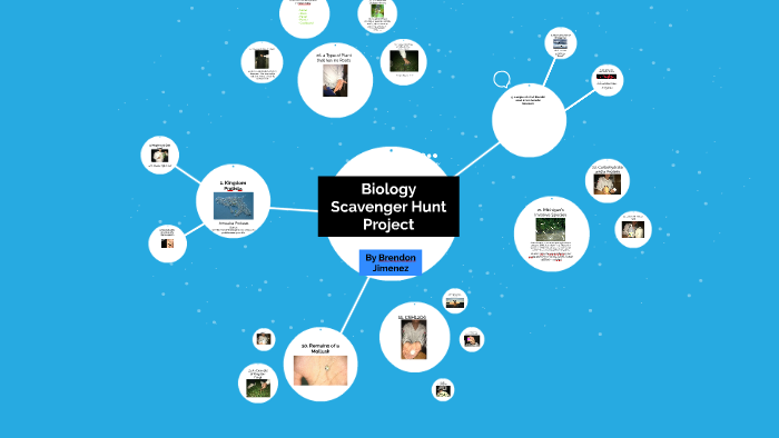 Biology Scavenger Hunt Project by Brendon Jimenez on Prezi