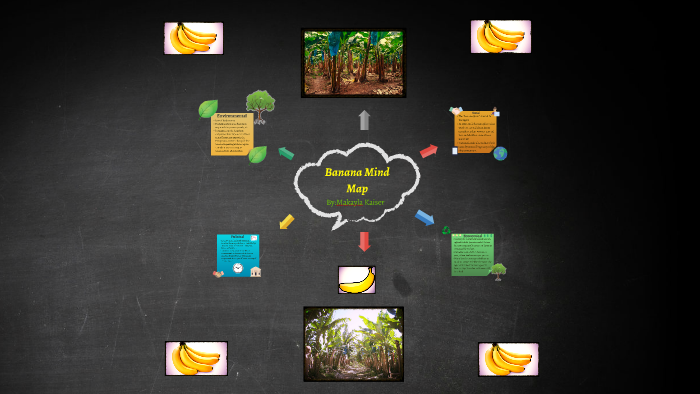 Banana Mind Map by Makayla Kaiser on Prezi