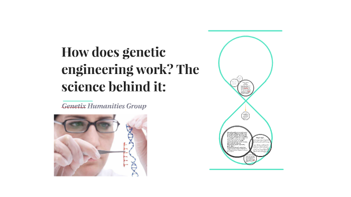 How does genetic engineering work? The science behind it: by Melika ...