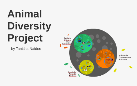 Animal Diversity Project by Tanisha Naidoo on Prezi