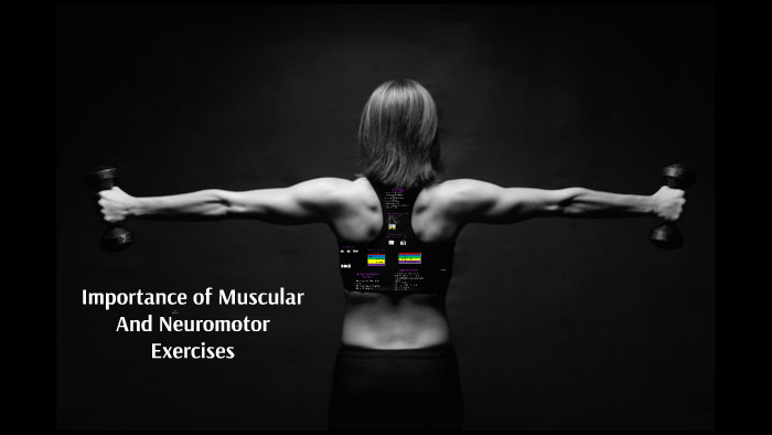 Muscular And Neuromotor Exercises by Maciek on Prezi