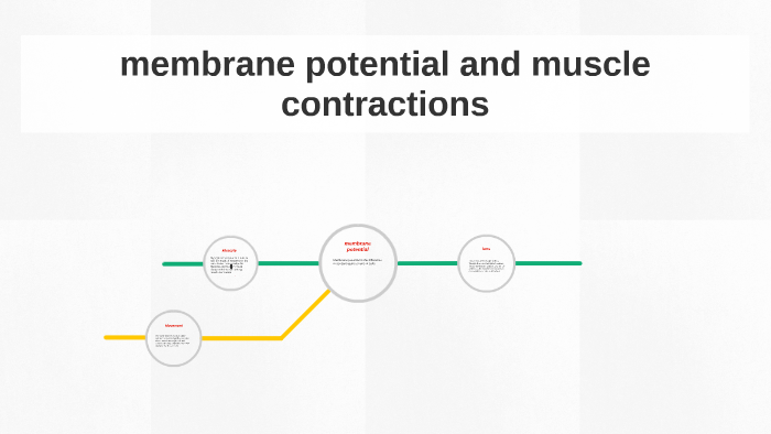 membrane potential and muscle contractions by Joseph Cruce
