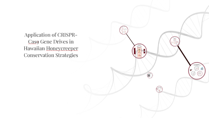 ISR Project by on Prezi