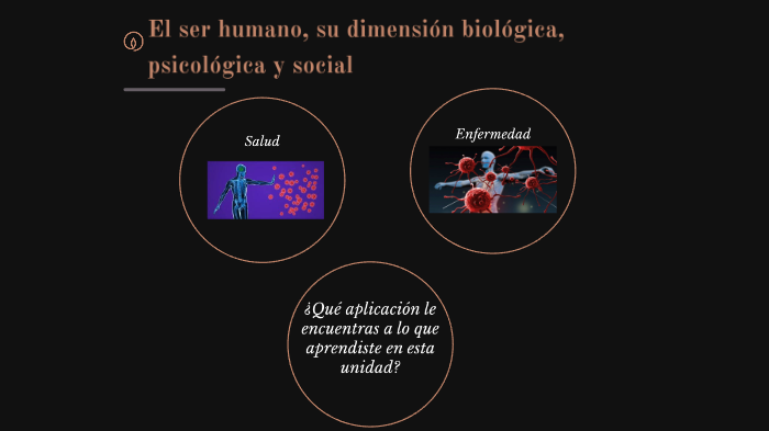 El Ser Humano Su Dimensión Biológica Psicológica Y Social By Yoshi